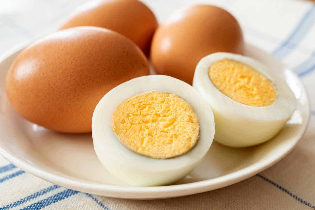 Kan hunder spise egg (Se svaret!)