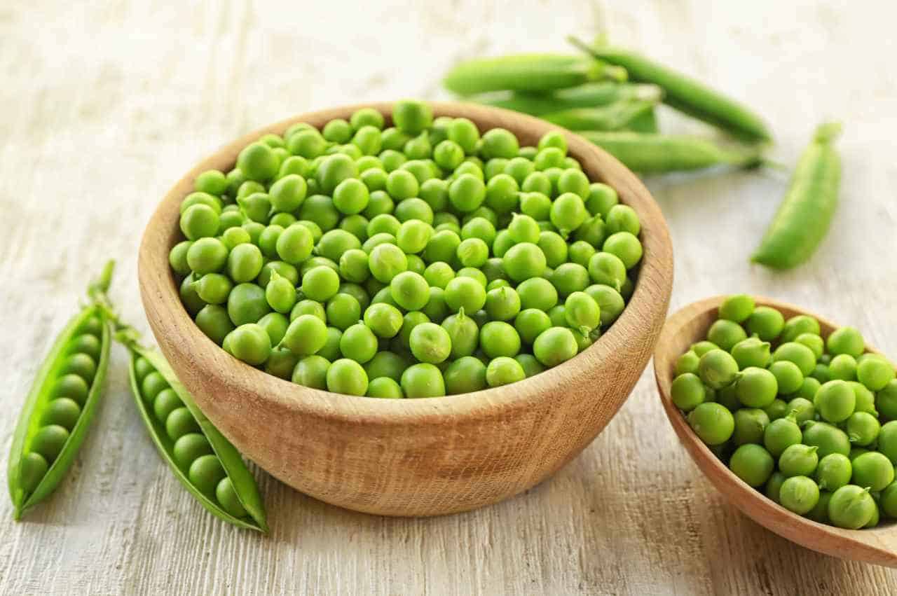 Kan hunder spise erter (Er det trygt?)